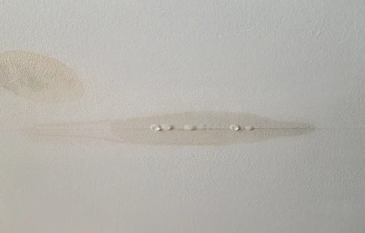 What to Do If You See Bubbling on Your Ceilings and Walls? | HomeSense